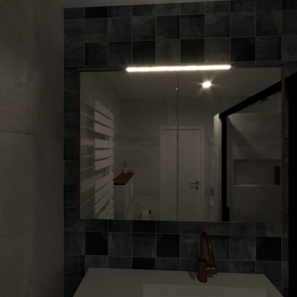 Badkamerhuis | ViSoft360